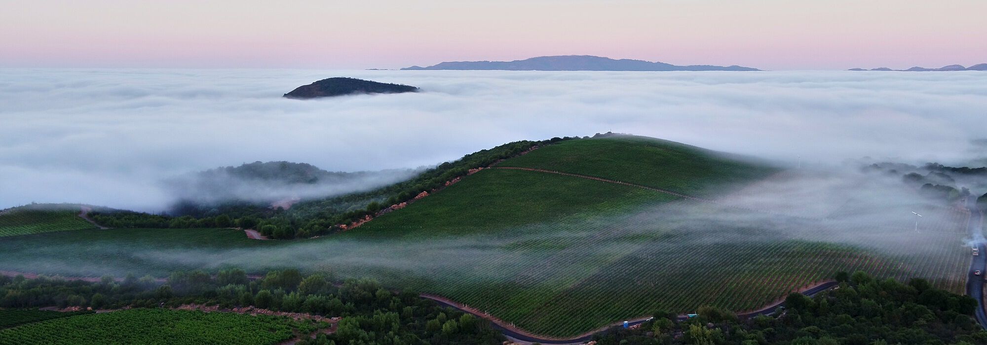 The Barrel Room | Jayson by Pahlmeyer